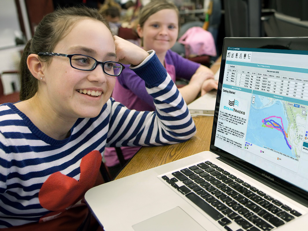 Resources for Years 4-6 - CensusAtSchool New Zealand